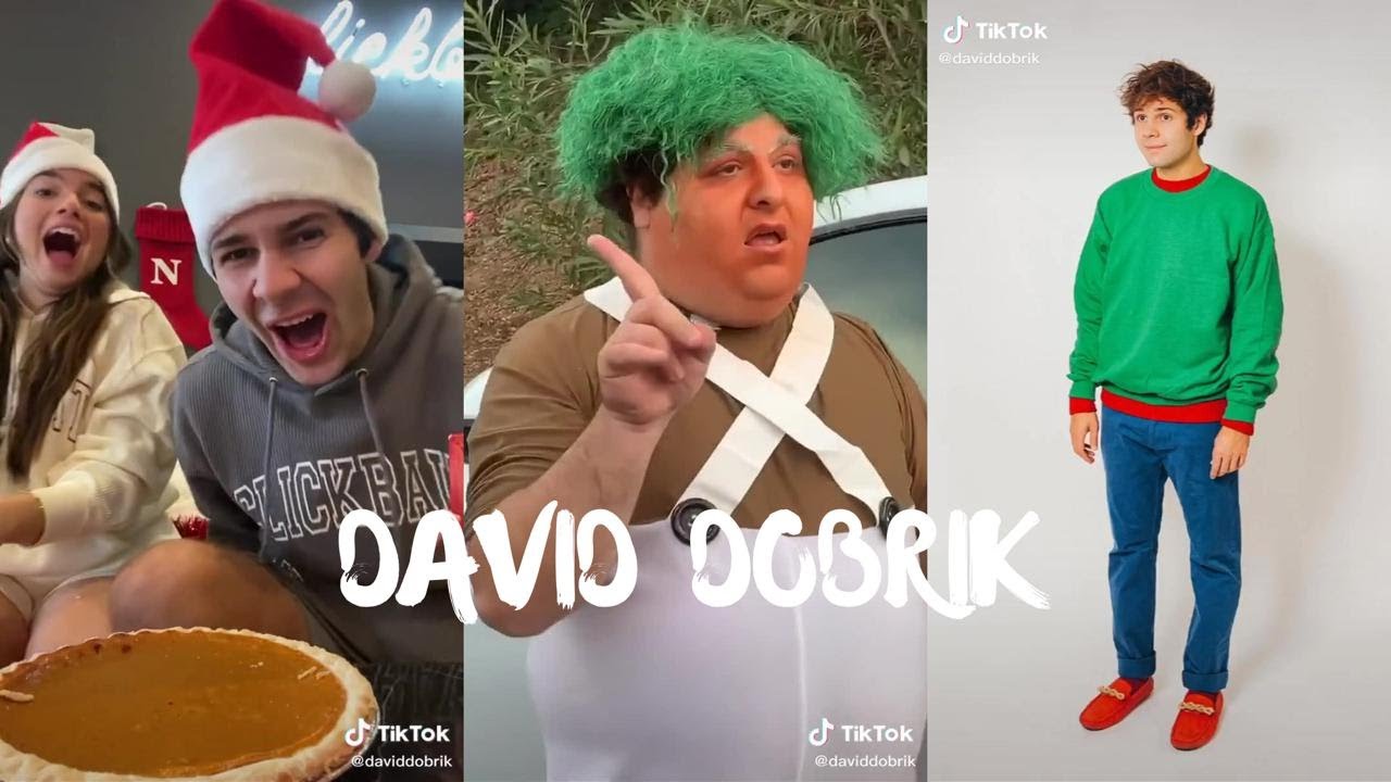 Best of 2021 David Dobrik Tik Tok Compilation Videos - YouTube