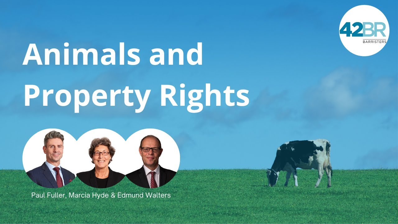 Animals and Property Rights - YouTube