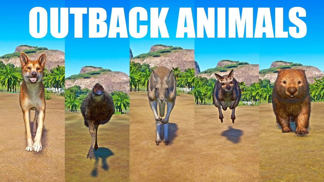 Outback Animals Speed Races in Planet Zoo included Wallaby, Kangaroo ...