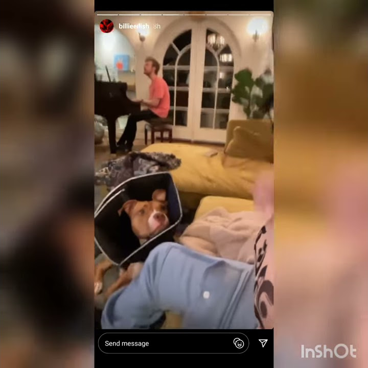 Billie Eilish Slapping Her Tits Youtube