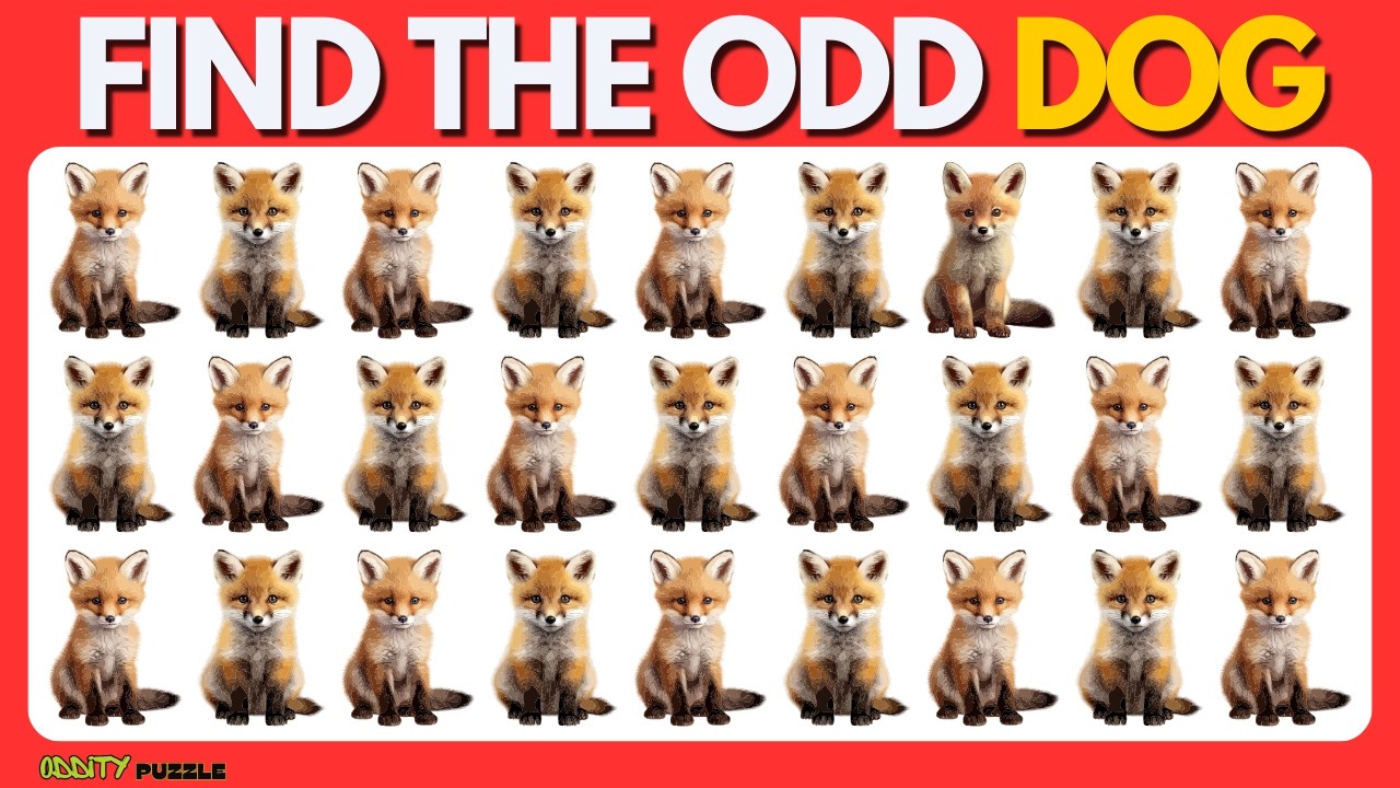 🔴 How Fast Are You?! Find the Odd One Out Quiz Puzzle [ From Easy to ...
