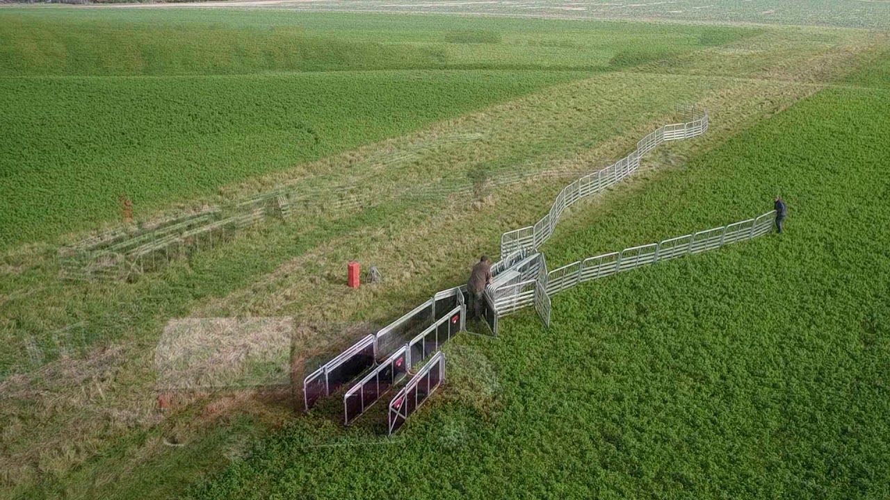 A Farmers Thoughts on the Rappa Series 12 Mobile Yard | Rappa - YouTube