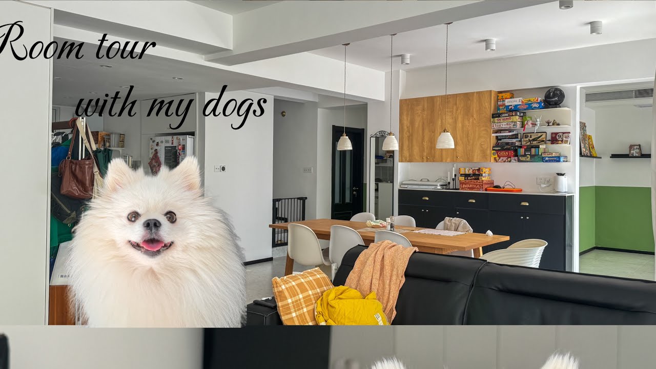 My space with 2 dogs ｜Chinese seaweed soba noodles - YouTube