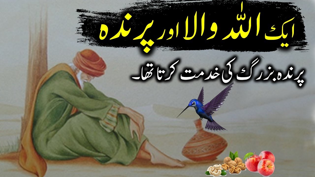 Aik Allah Wala or Aik Parinda || Bird Story || अल्लाह वाला || चिड़िया ...