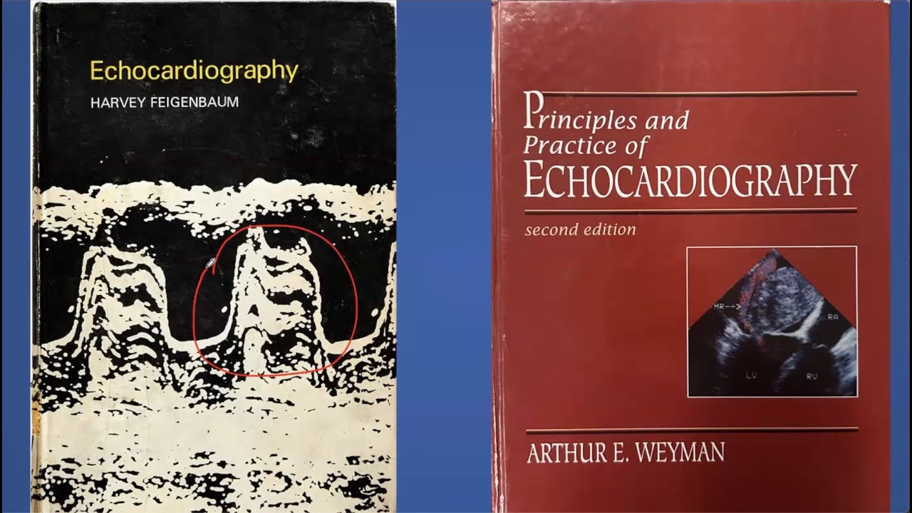 Echocardiography and the LV Inflow - YouTube