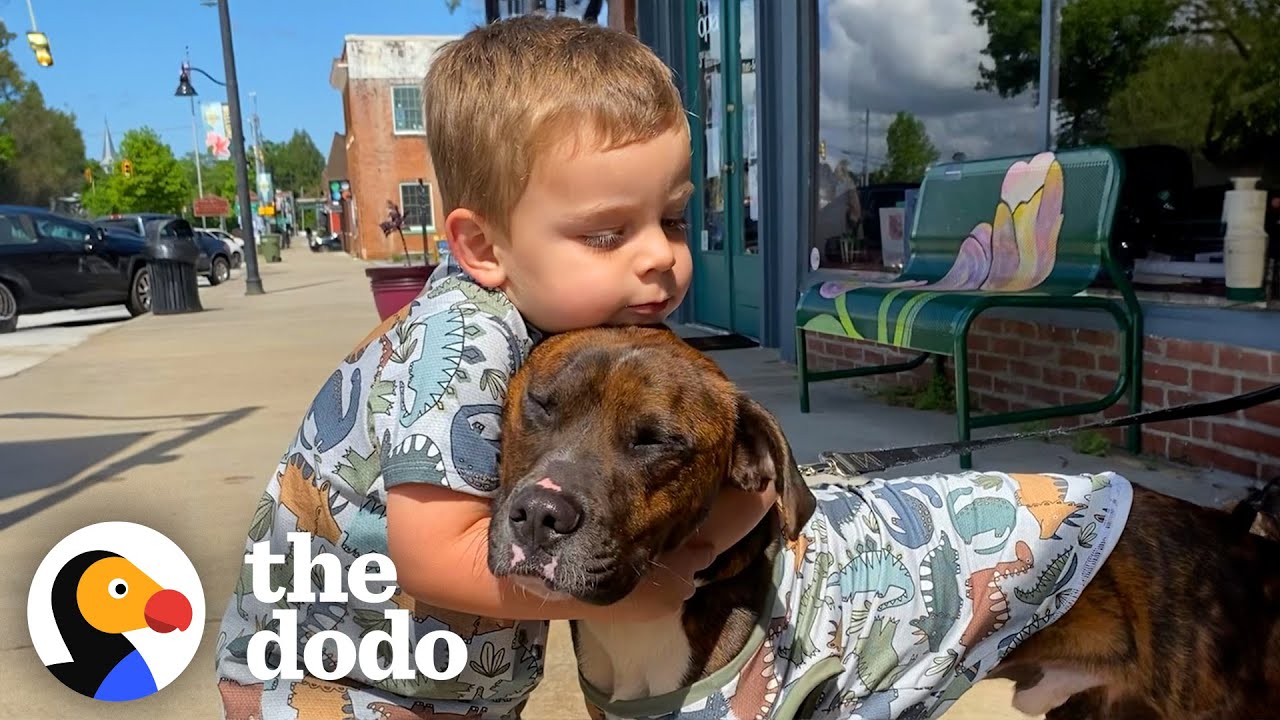 Dad Really Didn't Want To Adopt This Foster Dog... | The Dodo - YouTube