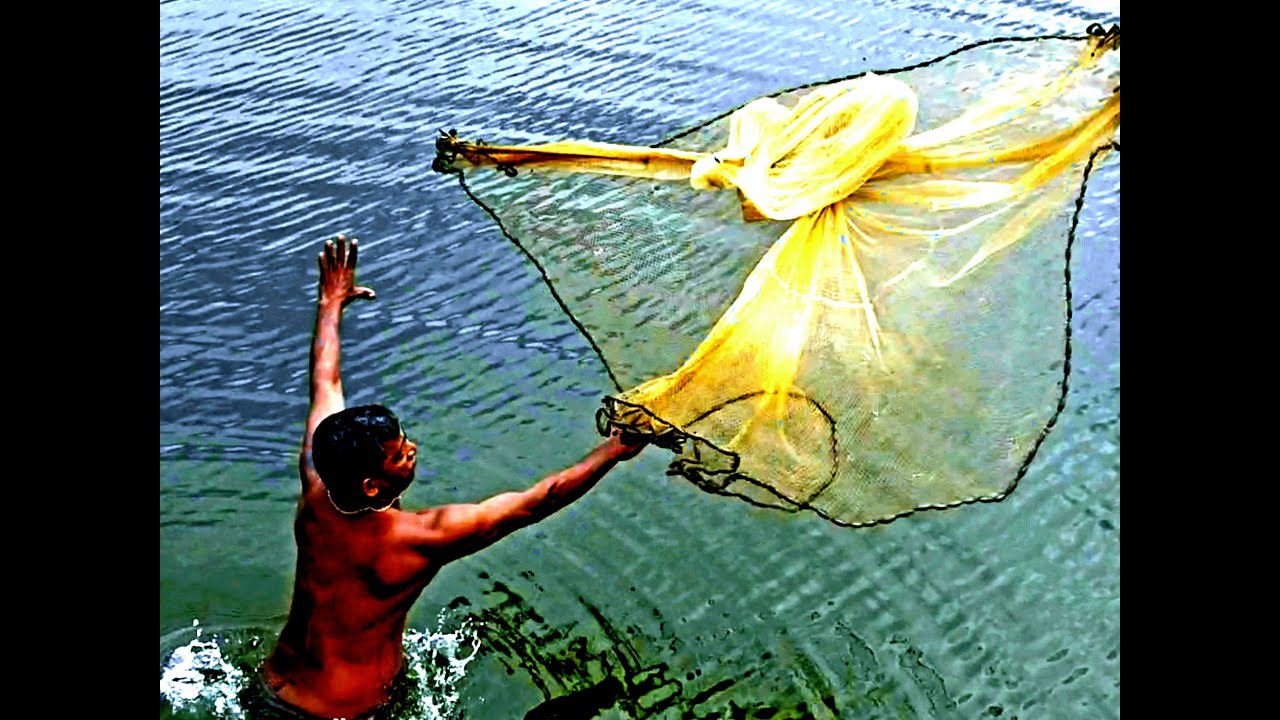 Traditional Net Fishing in Bentota Dedduwa River CATCHING "KARALLO FISH ...