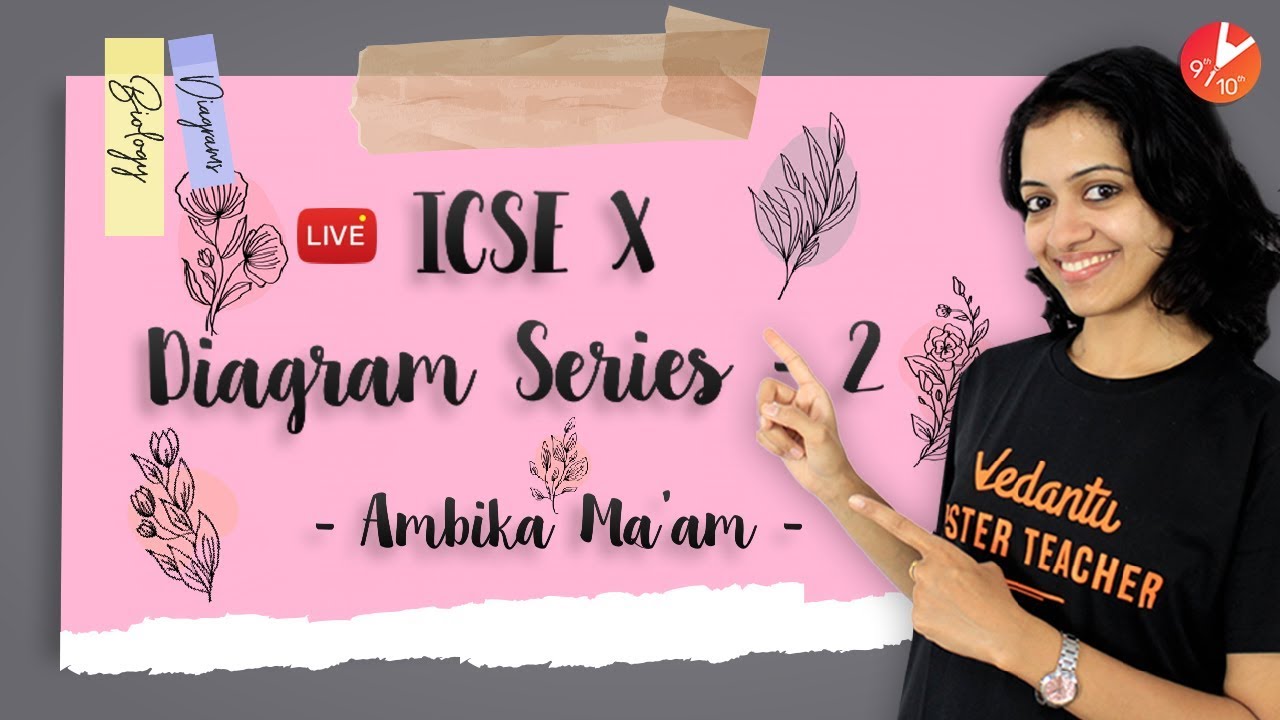 Class 10 Biology Important Diagrams Part 2 | ICSE Class 10 Board Exam ...