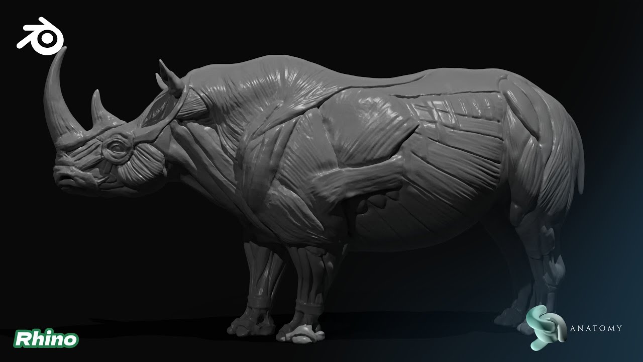 Rhino Anatomy In Blender (Part 2) - YouTube