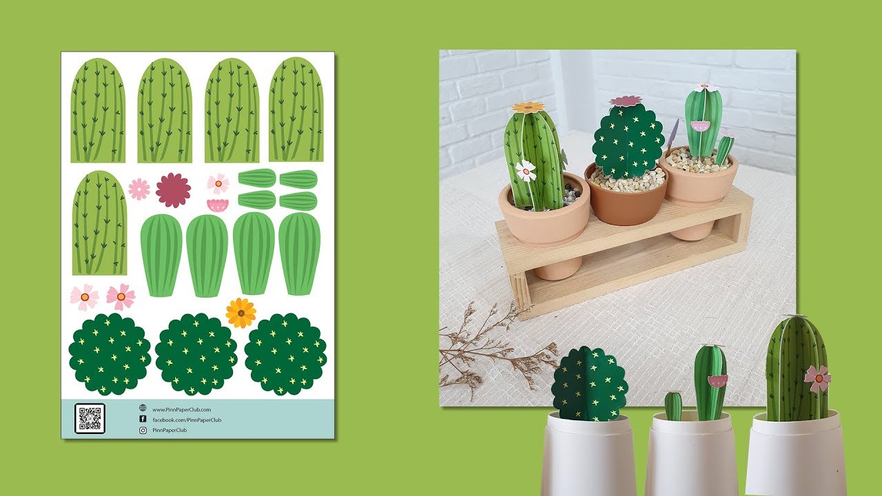 Cactus Paper - YouTube