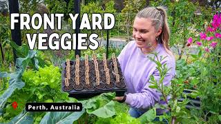 Early Spring Prep + Garden Tour 🌱 Warm Climate Australia (Perth) Zone 10b