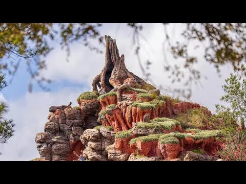 Justin Scarred Scream of Splash Mountain 💦 💦🤪 - YouTube
