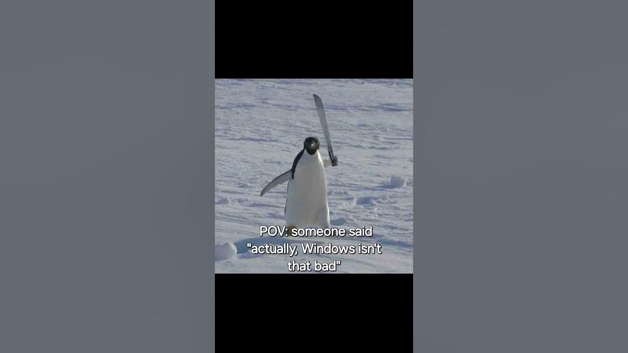 Programming Humor 20 #programming #memes #coding #humor #funny #programmingmemes # ...