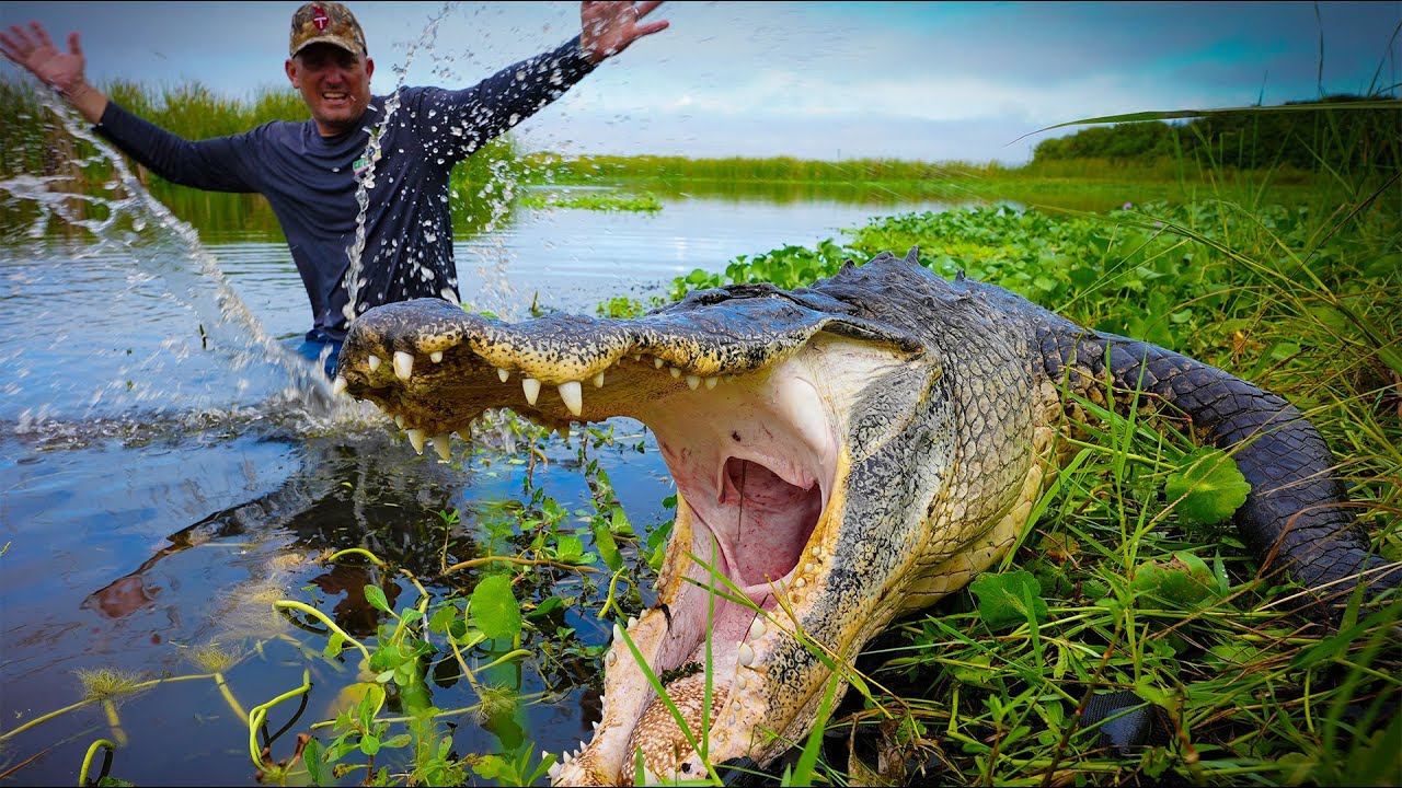 Giant Alligator Terrorizes Local Fisherman! Catch Clean Cook with Guga ...