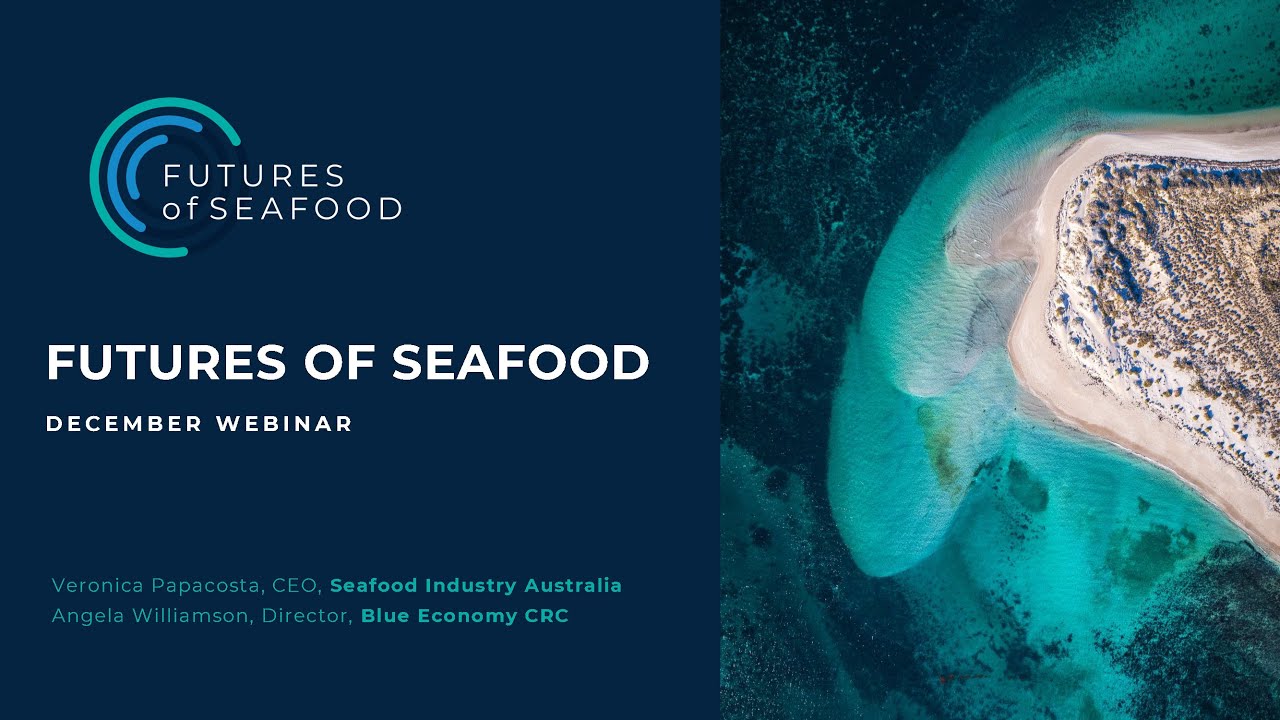 Futures of Seafood December 2024 Update - YouTube