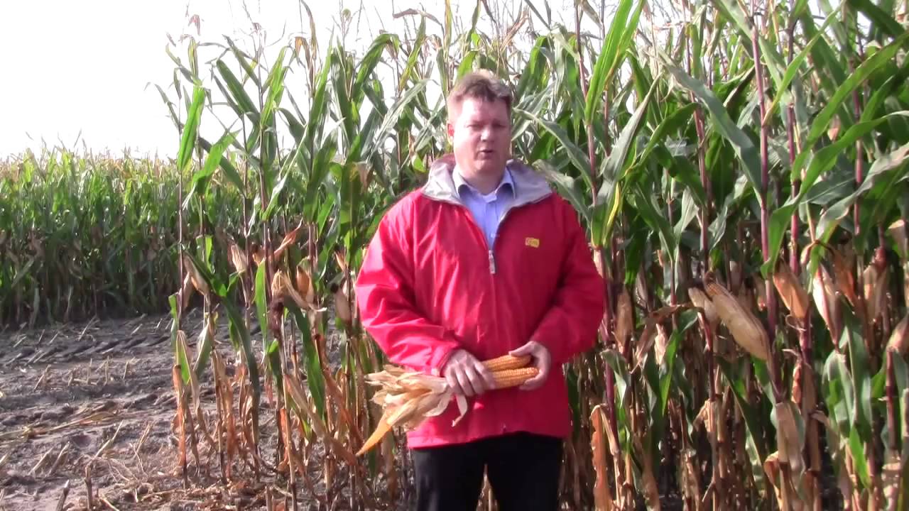 Wat is LG Animal Nutrition? - YouTube