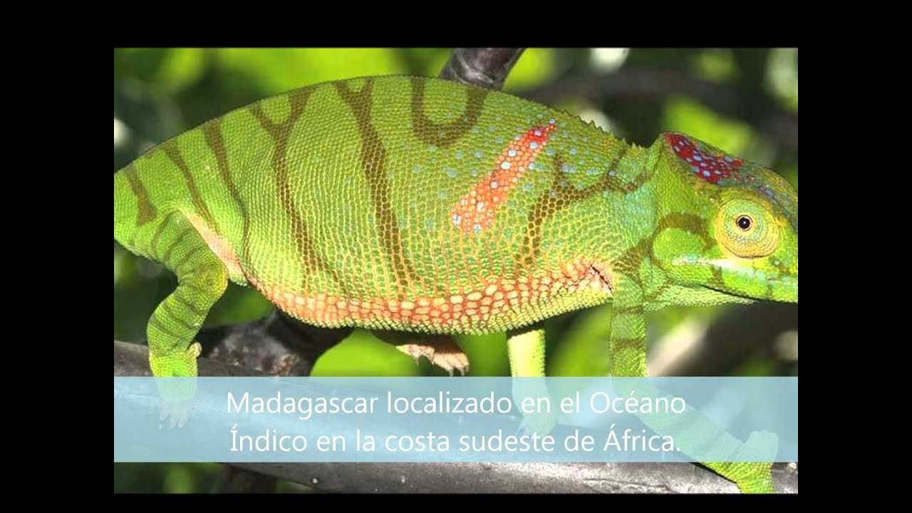 ÁFRICA - HYGU - YouTube