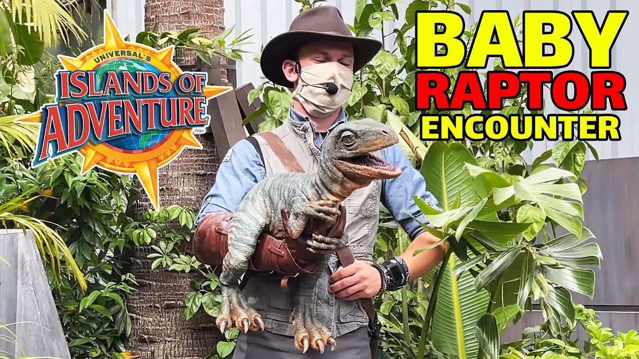Baby Raptor Encounter at Jurassic Park - Islands of Adventure Universal ...