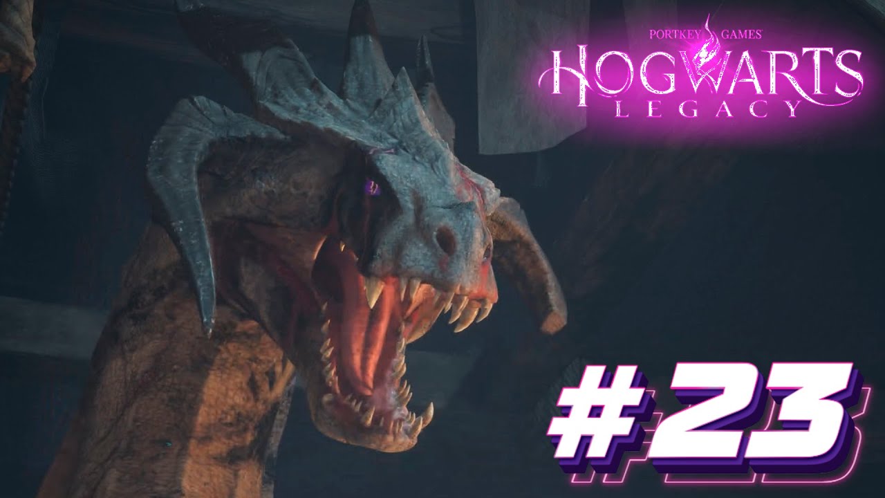 БРАКОНЬЕРЫ Hogwarts Legacy #23 - YouTube