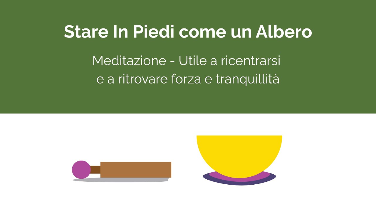 STARE IN PIEDI COME UN ALBERO - Meditazione | Radica la tua forza e ...