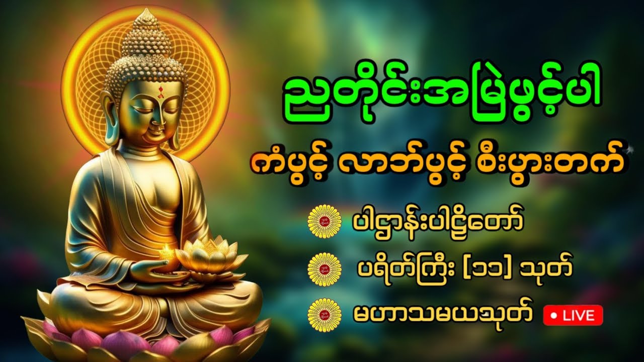 🙏🌷🙏ကံပွင့် လာဘ်ပွင့် စီးပွားတိုးတက် 🙏🌷🙏မဟာပဌာန်းတရား ပရိတ်ကြီး၁၁သုတ် မေတ္တာပို့🙏🌷🙏 Dhammamm