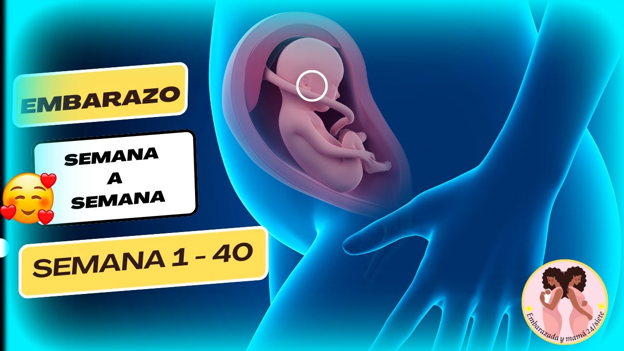 EMBARAZO semana a SEMANA | De la semana 1 a la 40 - YouTube