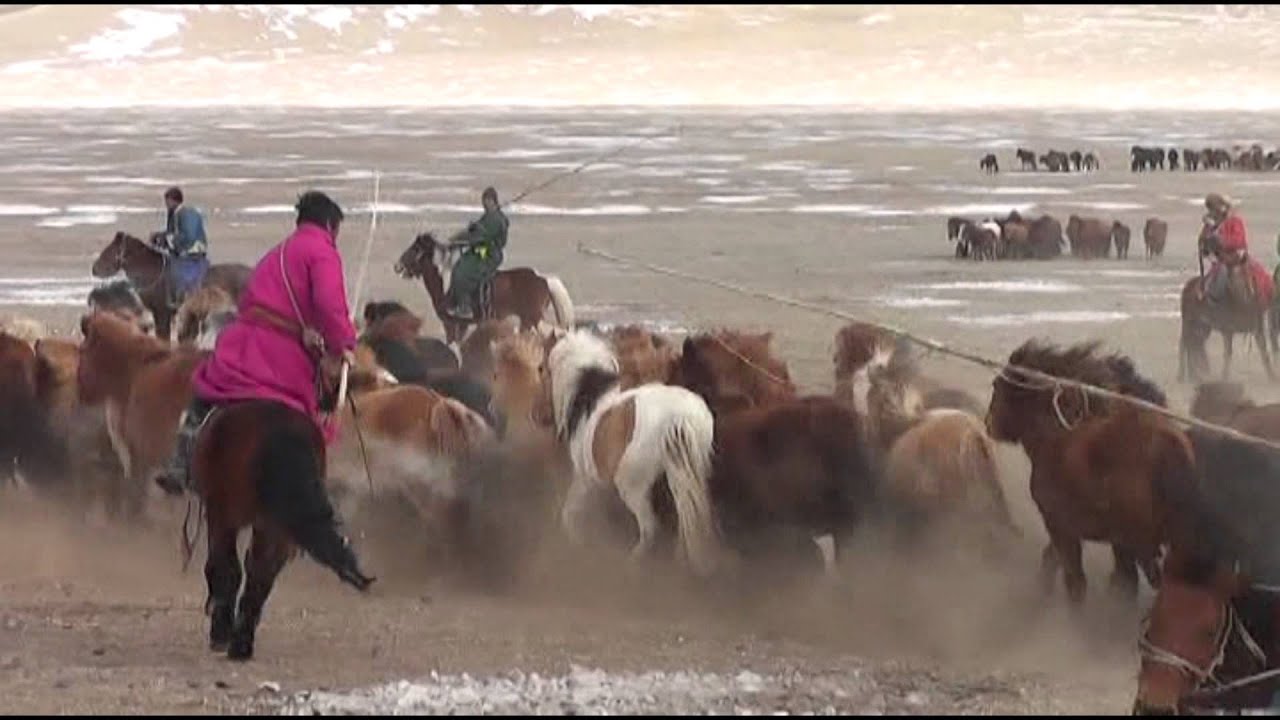 003 tv 10 aduuchin - YouTube