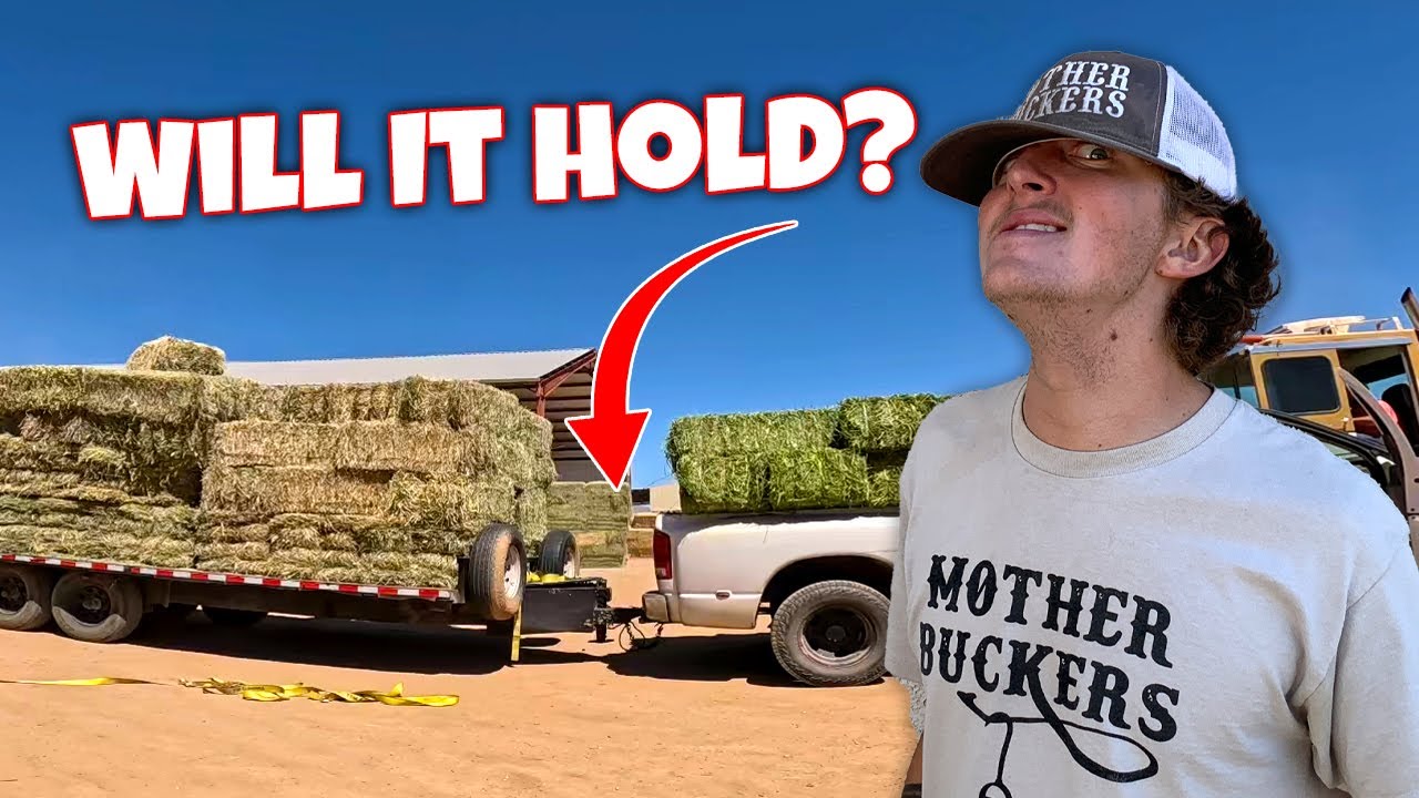 Hauling Mega Loads of Hay: Delivered and Hand Stacked! - YouTube