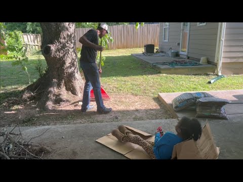OUR BACKYARD PROJECT: CARDBOARD AND MULCH - YouTube