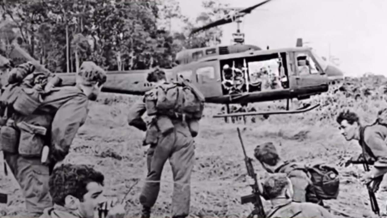 Cat has Vietnam flashback - YouTube