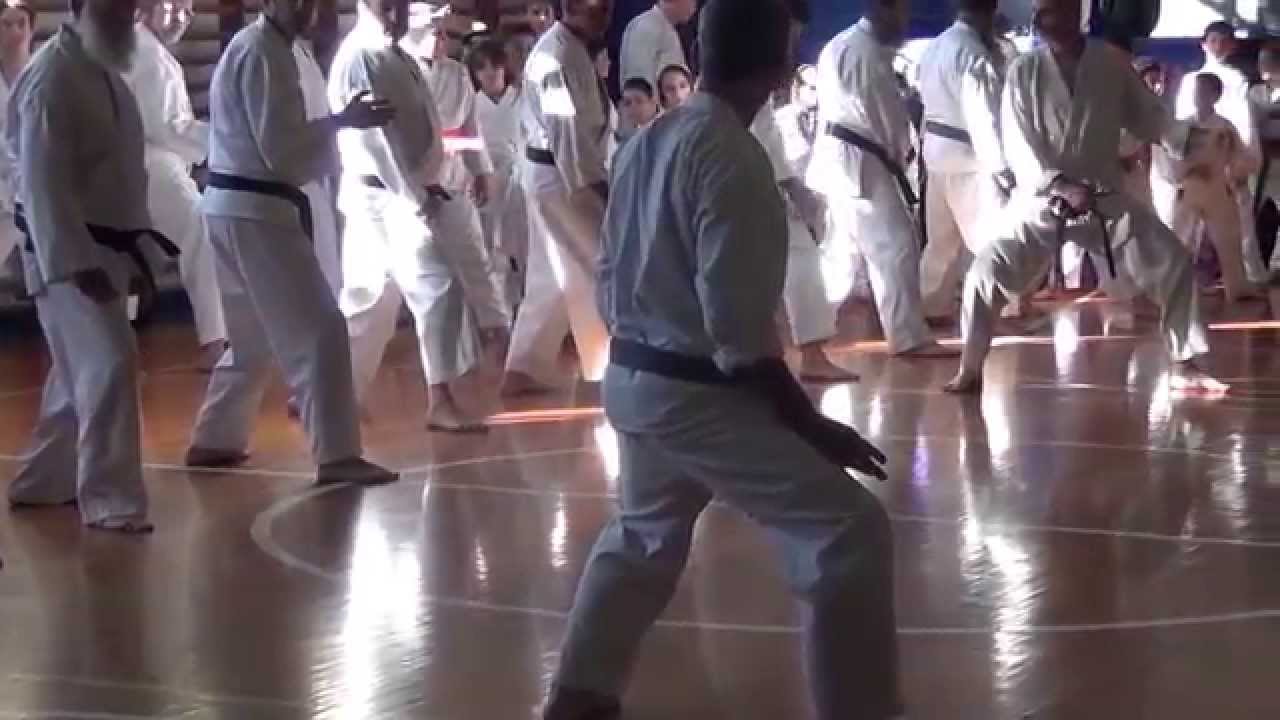 Karate Shotokai KDS Harada Israel 5 - YouTube