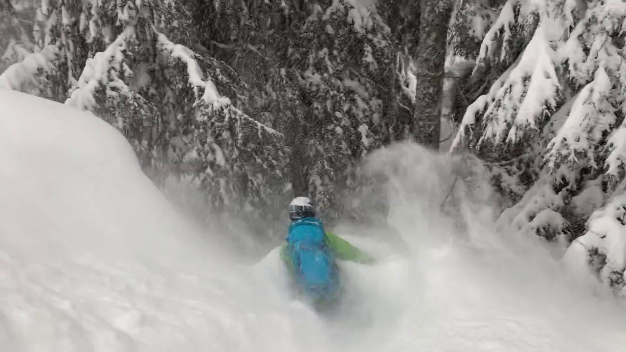 Feb 11, 2019, Kendall Trees - YouTube