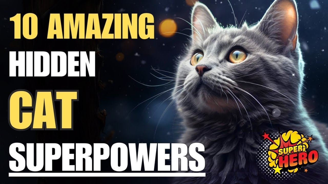 Amazing superpowers that prove cats are superheroes | Cats are magic ...