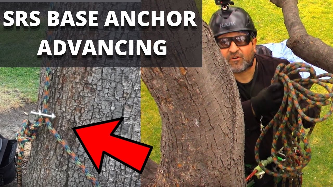 Advancing a Tree Using A SRS Base Anchor, SRS Tree Climbing - YouTube