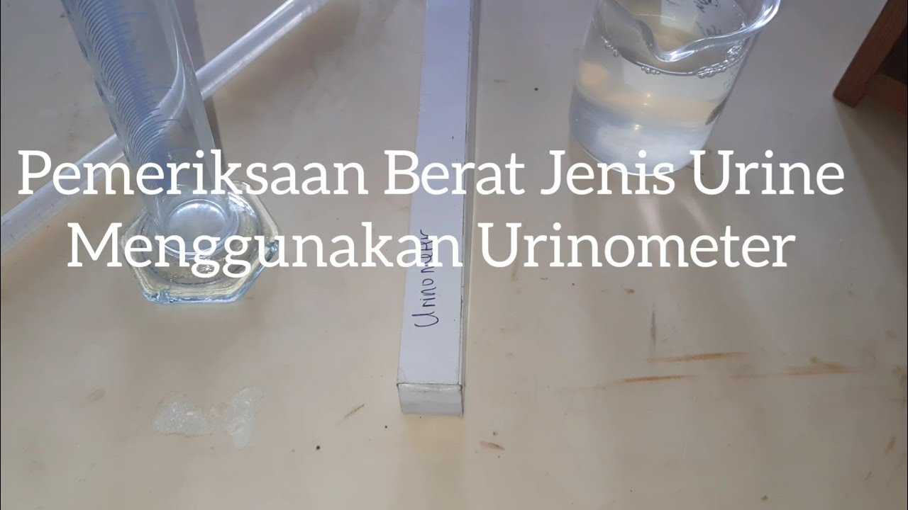 Urinalisis: Pemeriksaan Berat Jenis Urine Urinometer - YouTube