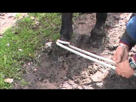 How to make rope hobbles.