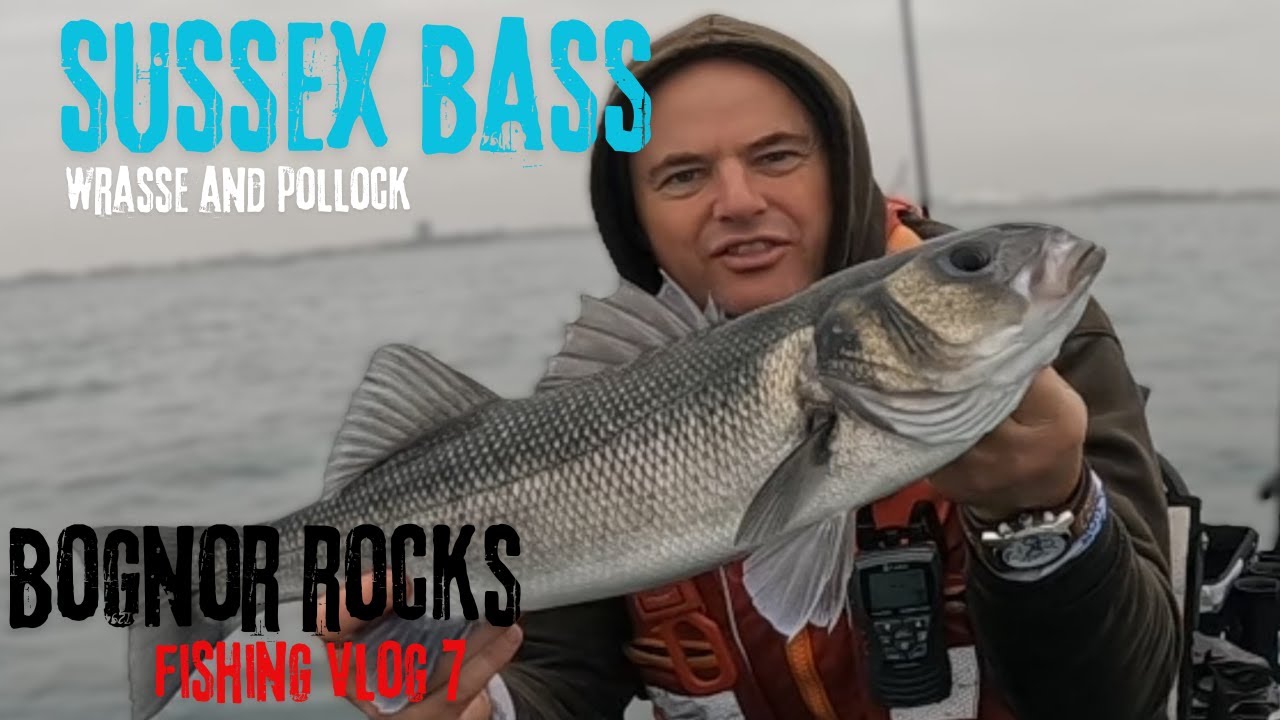 Bass, Pollock and Wrasse fishing over Bognor Rocks - a cracking Day on ...