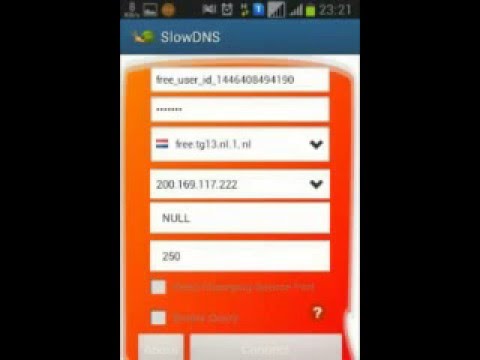 slow dns 2016