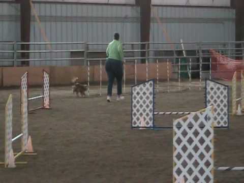 Cedar Open Jumpers Saturday ML.MOD