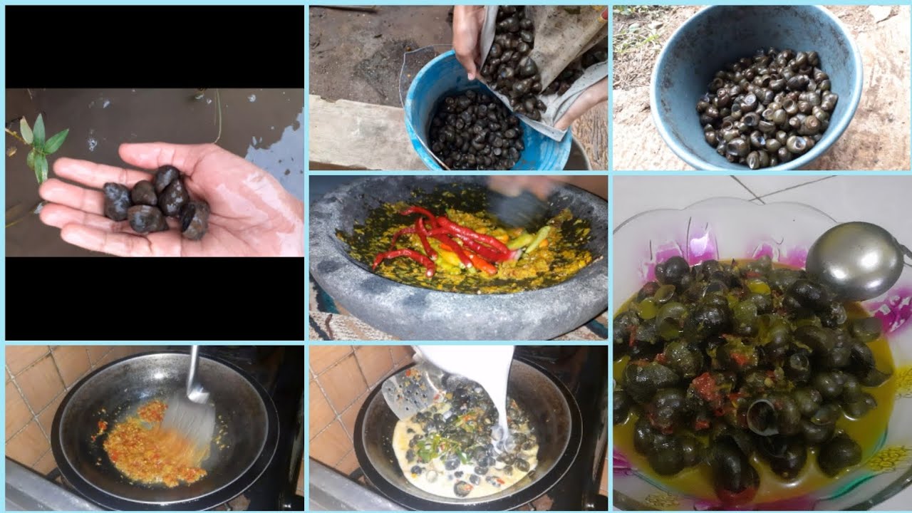 Review balado tutut/siput sawah - YouTube