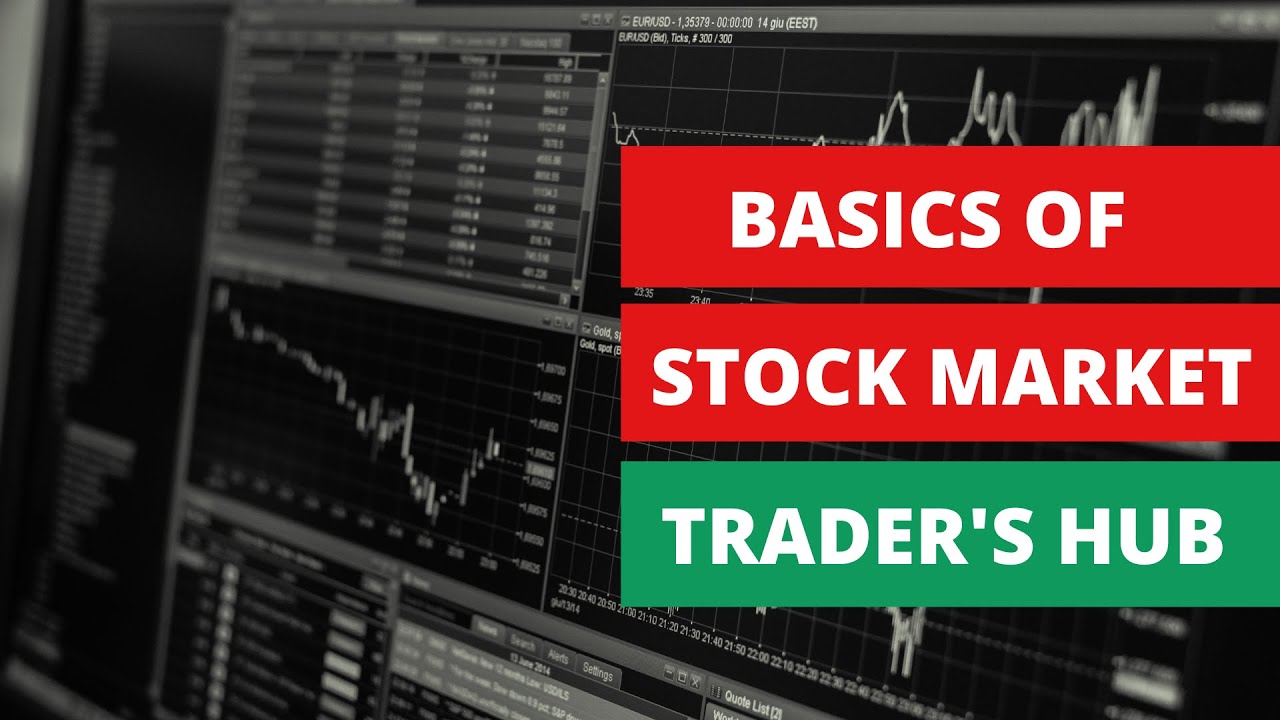 BASICS OF STOCK MARKET - TRADER'S HUB - YouTube