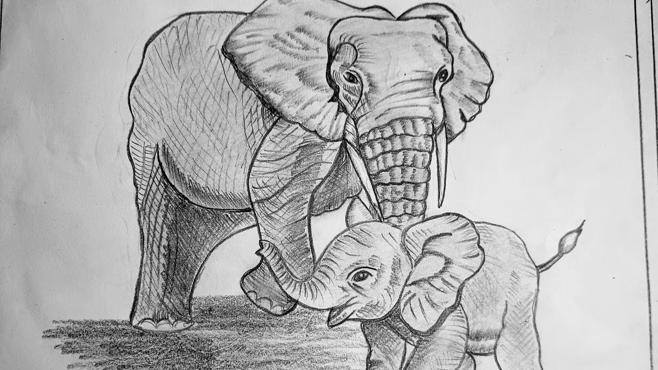 @how to draw & shade elephant / step by step /📝👍🐘@ - YouTube