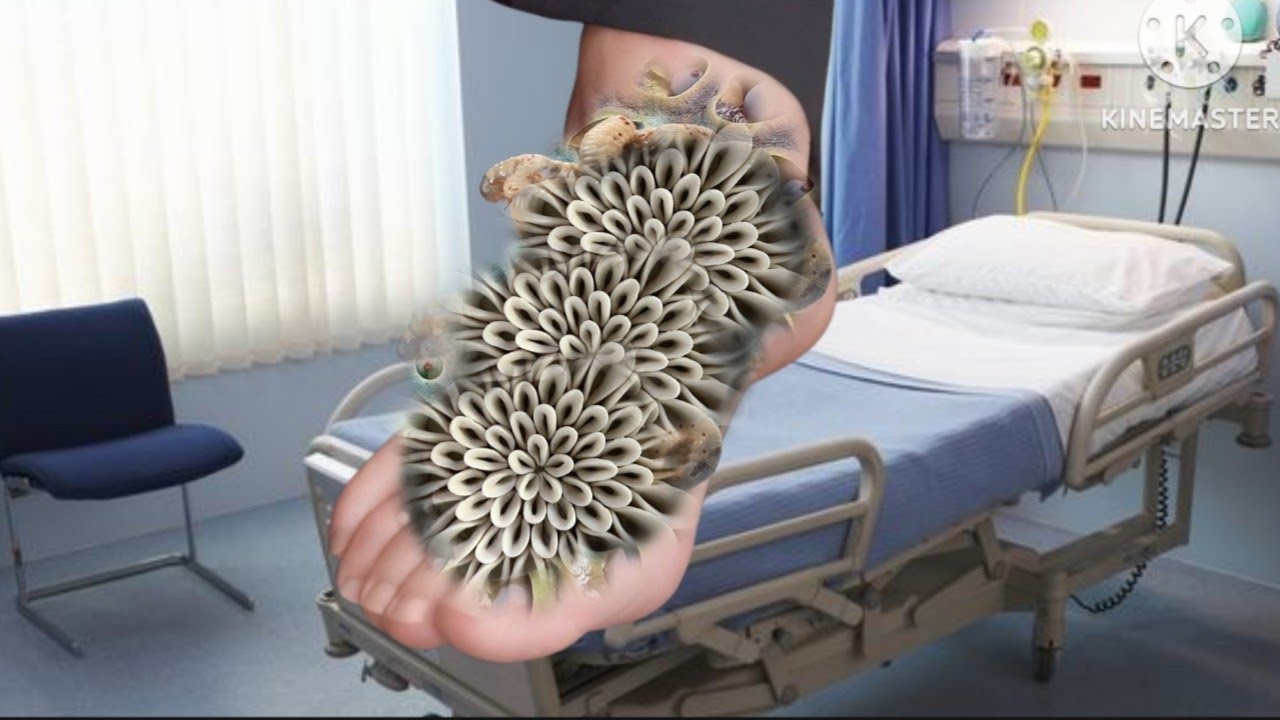 ASMR/Deep cleaning animation#asmr#asmrsounds#rainbowasmr#asmrvideos# ...