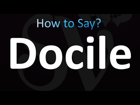 How to Pronounce Docile (correctly!) - YouTube