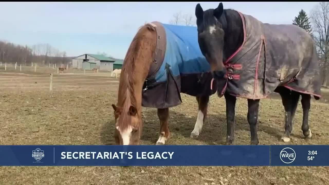 Secretariat’s Offspring: The legacy of ‘Big Red’ - YouTube