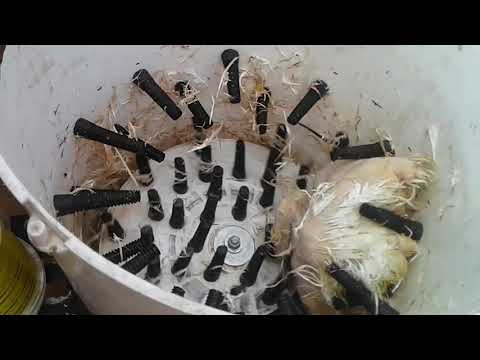 Depenadeira de frango artesanal. SE INSCREVE no canal.