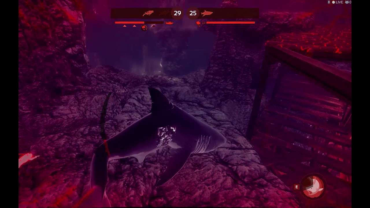 My Friends Hate Sharks - YouTube