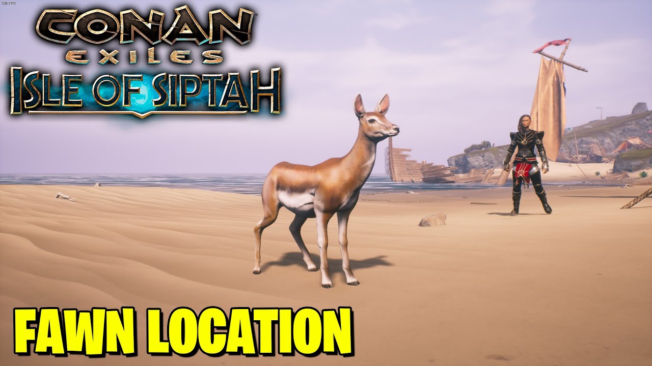 WHERE TO FIND FAWN IS CONAN EXILES ISLES OF SIPTAH - YouTube