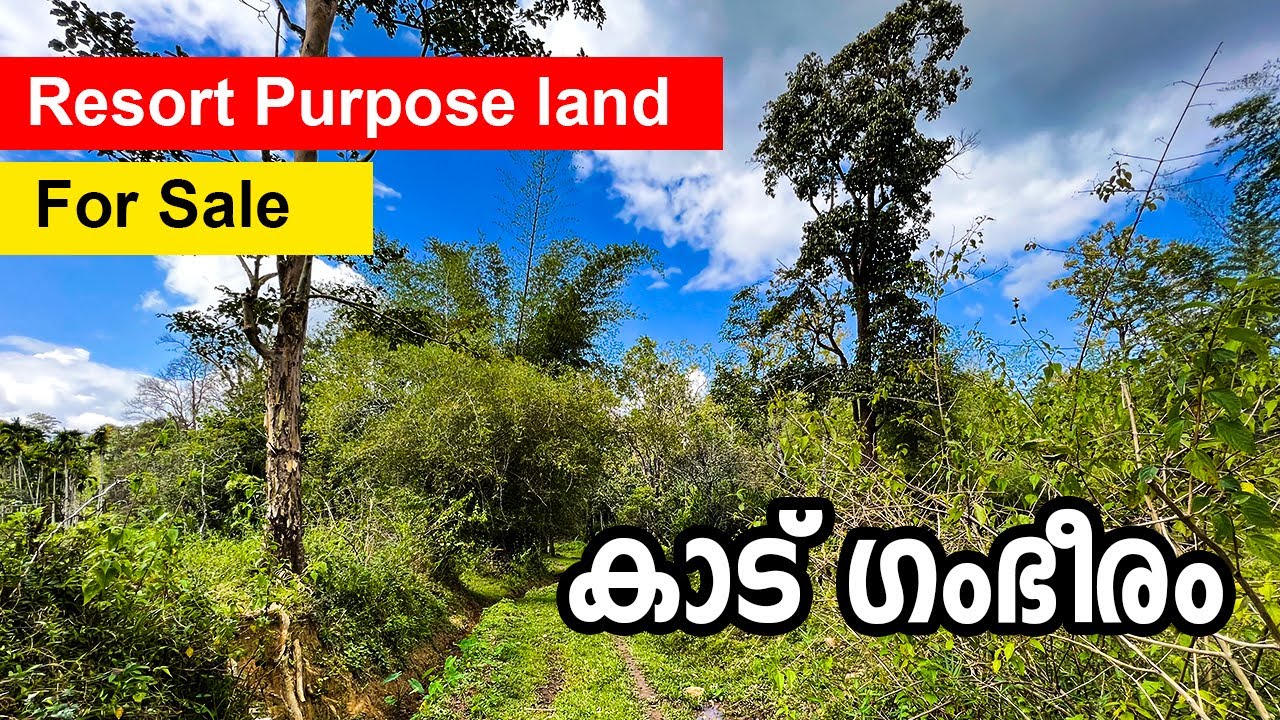 Very Beautiful 96 Cent Land with Forest Boundary for Sale @pakkam near ...