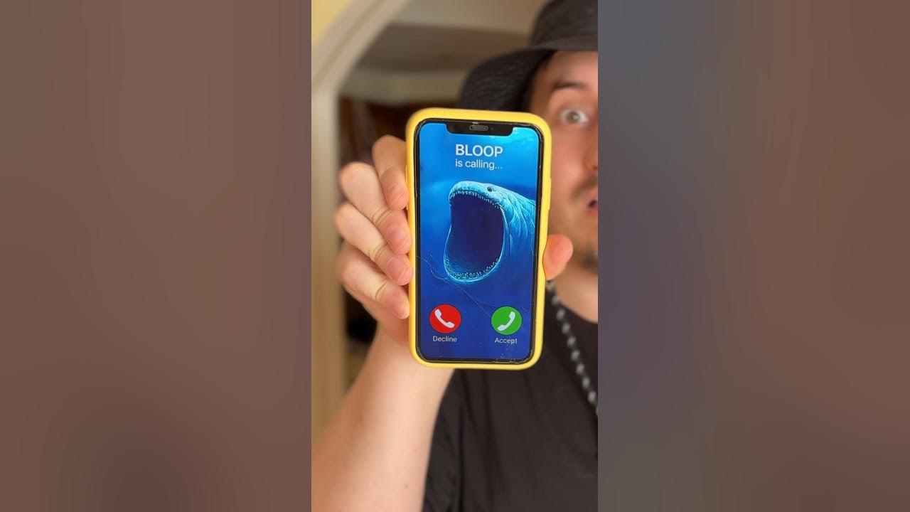 BLOOP is calling NikPig - YouTube